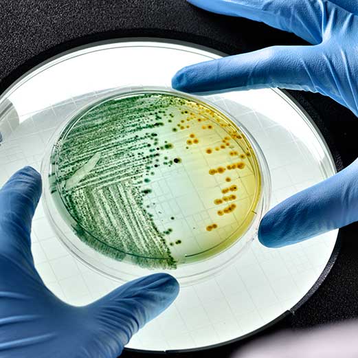 Welcome to Avient | Specialty Polymer Formulations