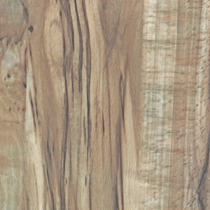 Desert Beech | Avient