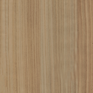 Evolution Sand | Avient